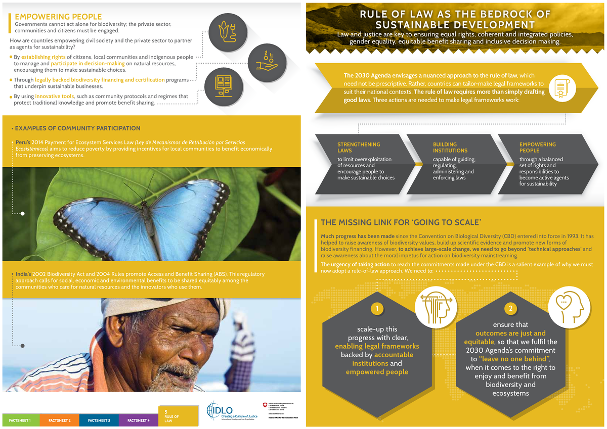 Rule of law for sustainable development - RULE OF L AW A S THE BEDROCK ...