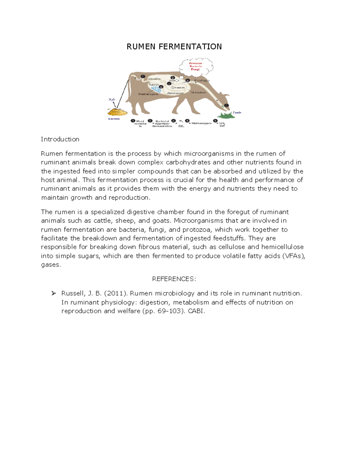 Rumen Fermentation - lab reports - RUMEN FERMENTATION Introduction ...