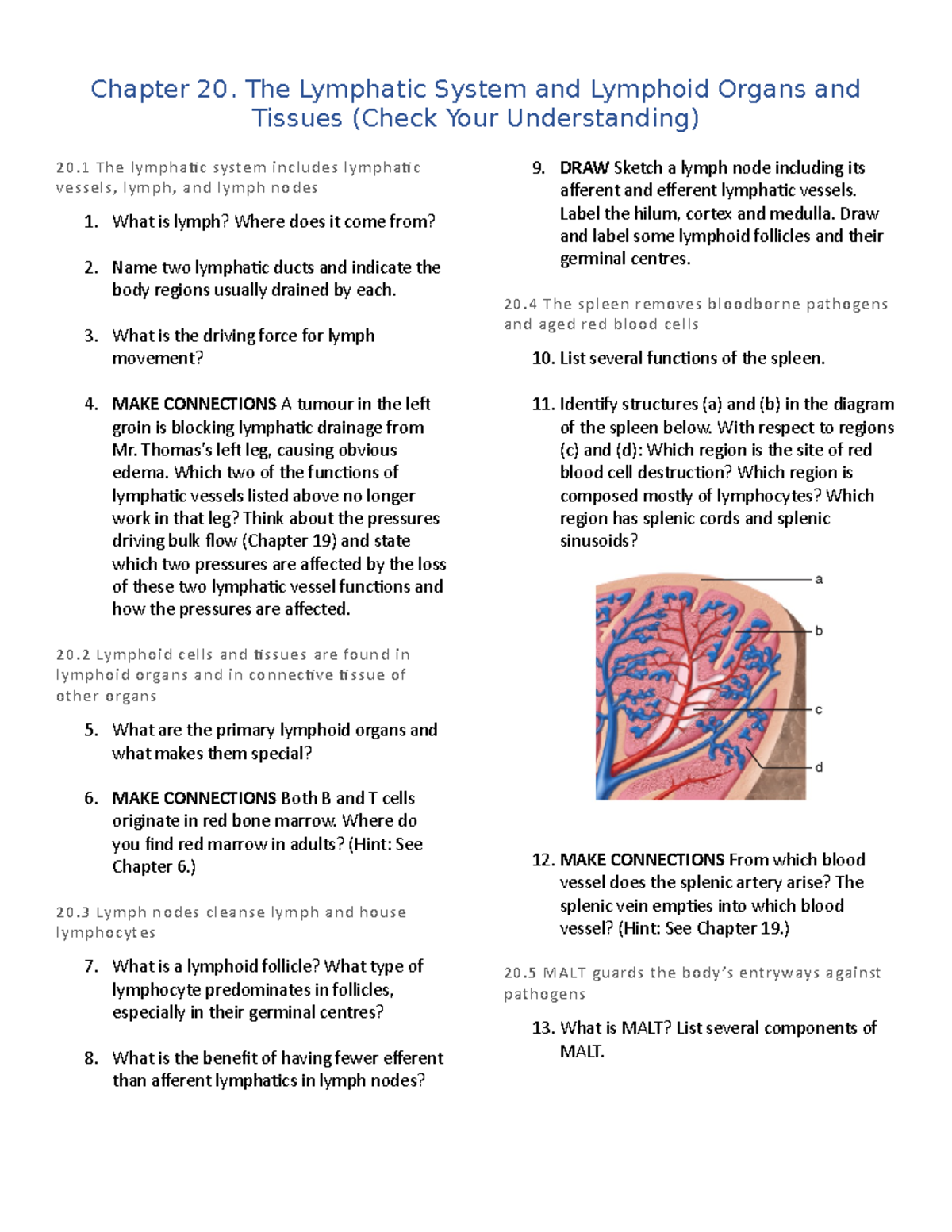 Chapter 20. (Check Your Understanding) - Chapter 20. The Lymphatic ...