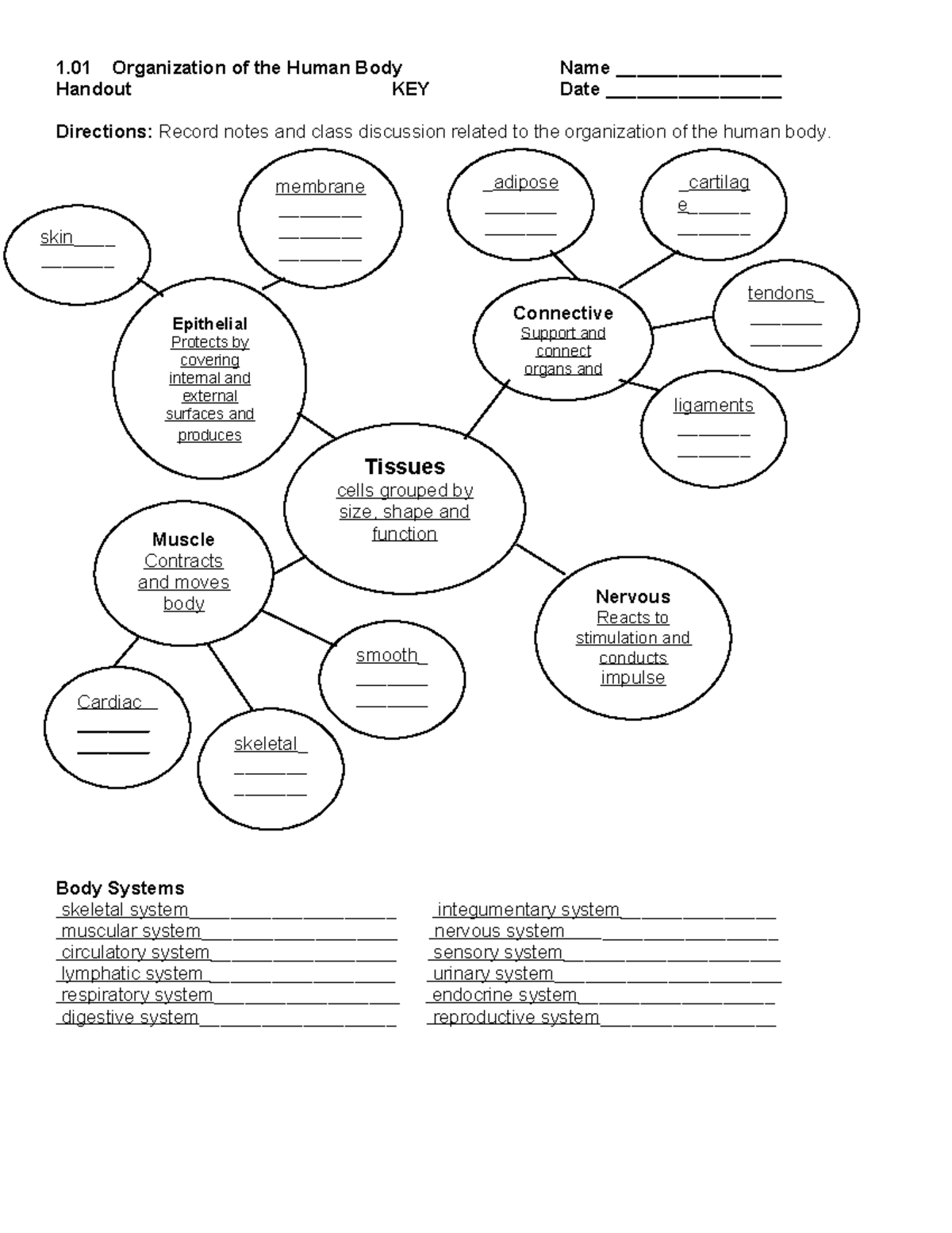 Answer key for Original study guide 1 - 1 Organization of the Human ...