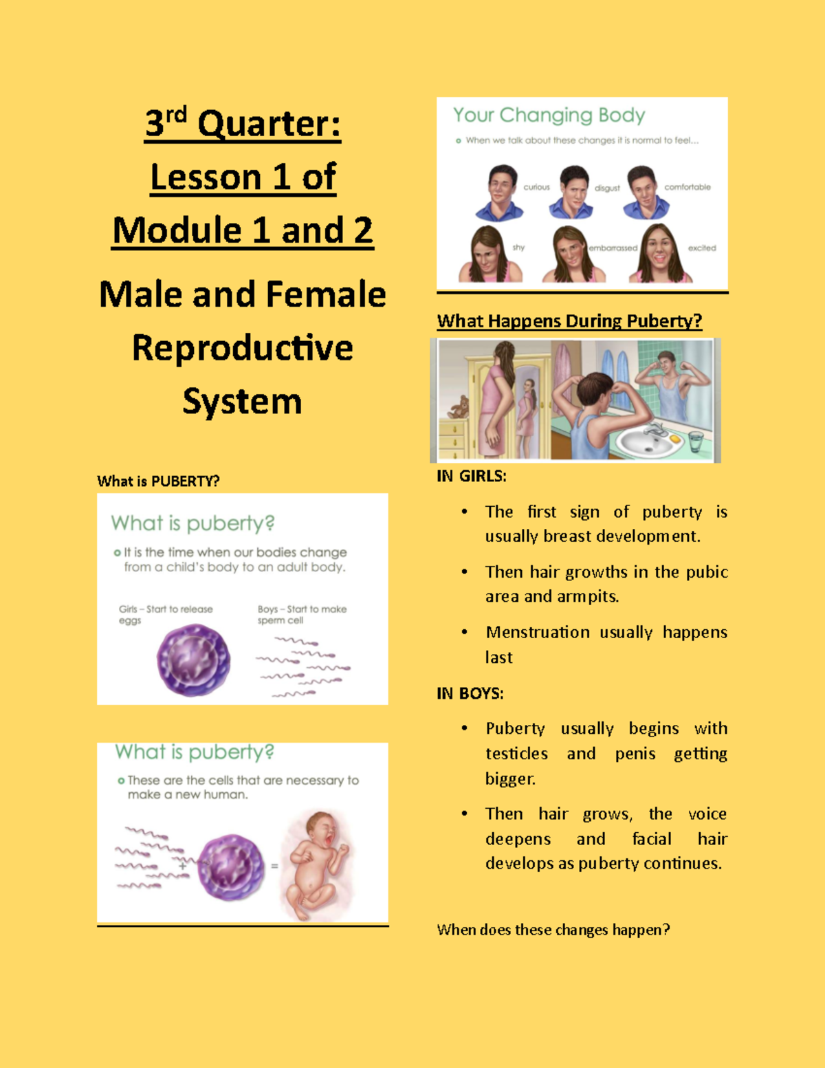 Reproductive System Study Guide - 3 rd Quarter: Lesson 1 of Module 1 ...