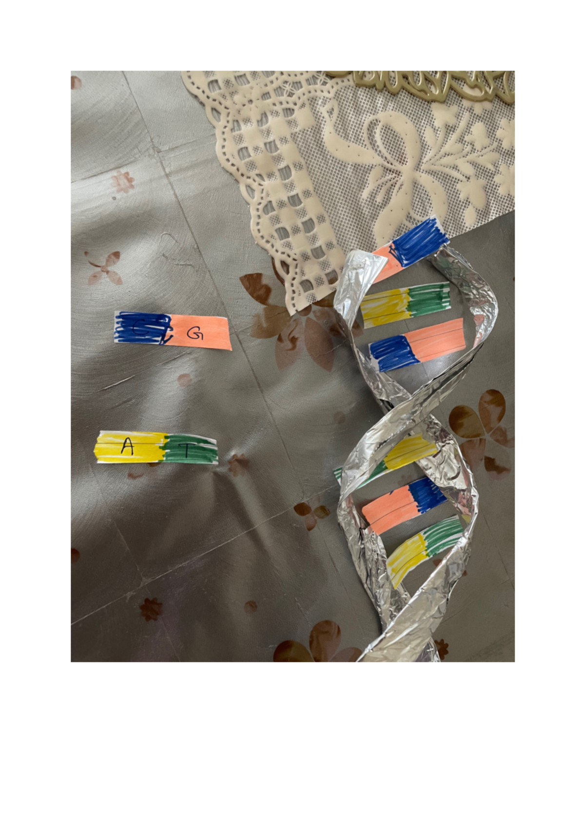 DNA Model ART Integrated Project - AP bio - G A G A - Studocu