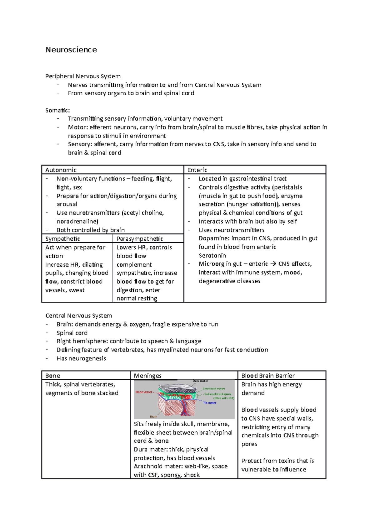 Neuroscience notes - Neuroscience Peripheral Nervous System - Nerves ...