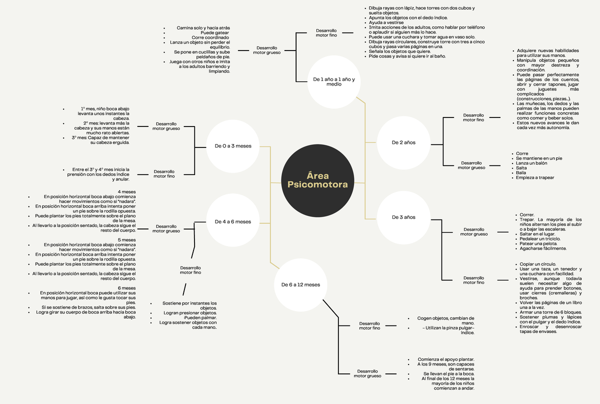 Área Psicomotora y desarrollo de la psicología - Área Psicomotora De 0 ...