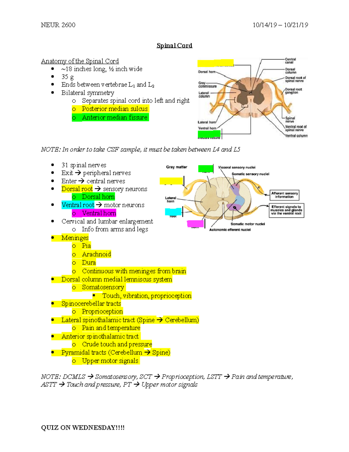 Spinal Cord (Notes) - NEUR 2600 10/14/19 – 10/21/ Spinal Cord Anatomy ...
