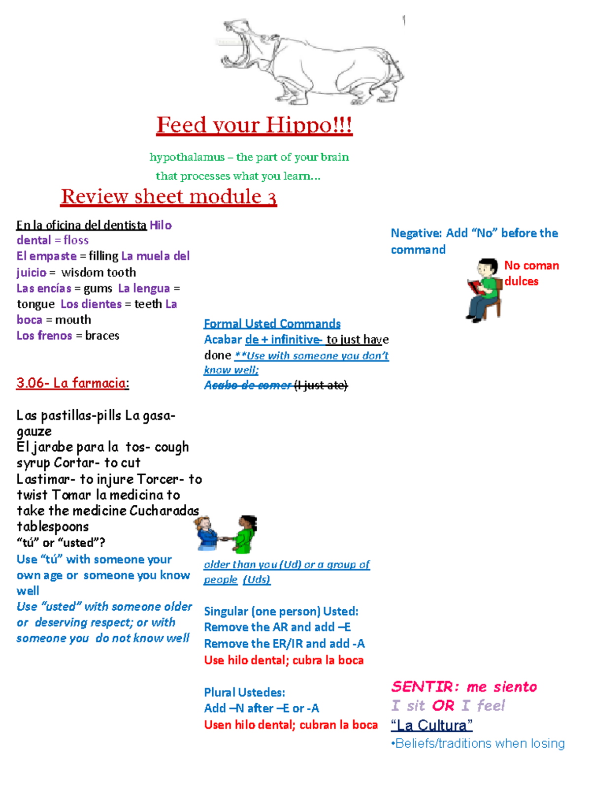 Hippo mod 3 v19-2 - spanish 2 cheat sheet - Feed your Hippo ...