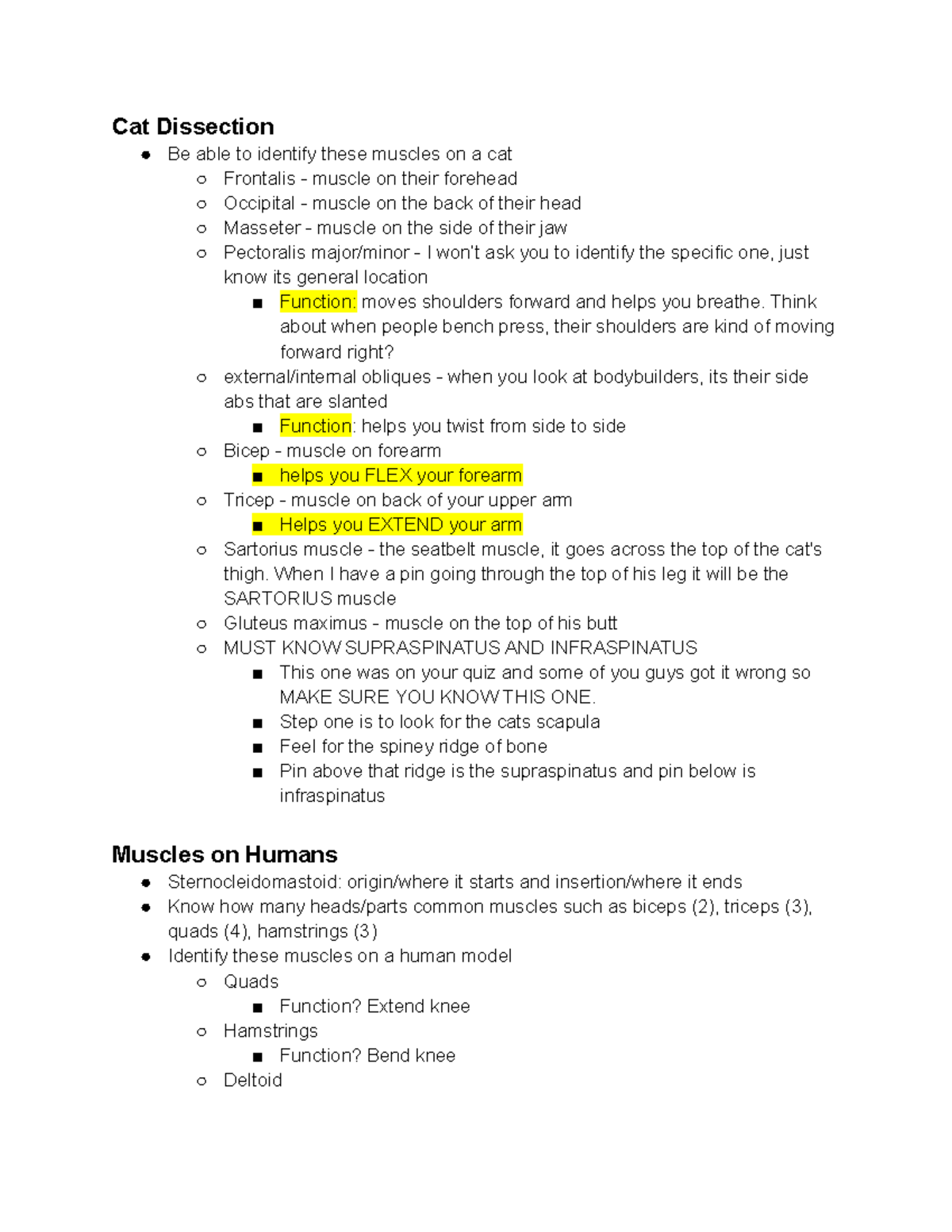 Anatomy final review - Cat Dissection Be able to identify these muscles ...