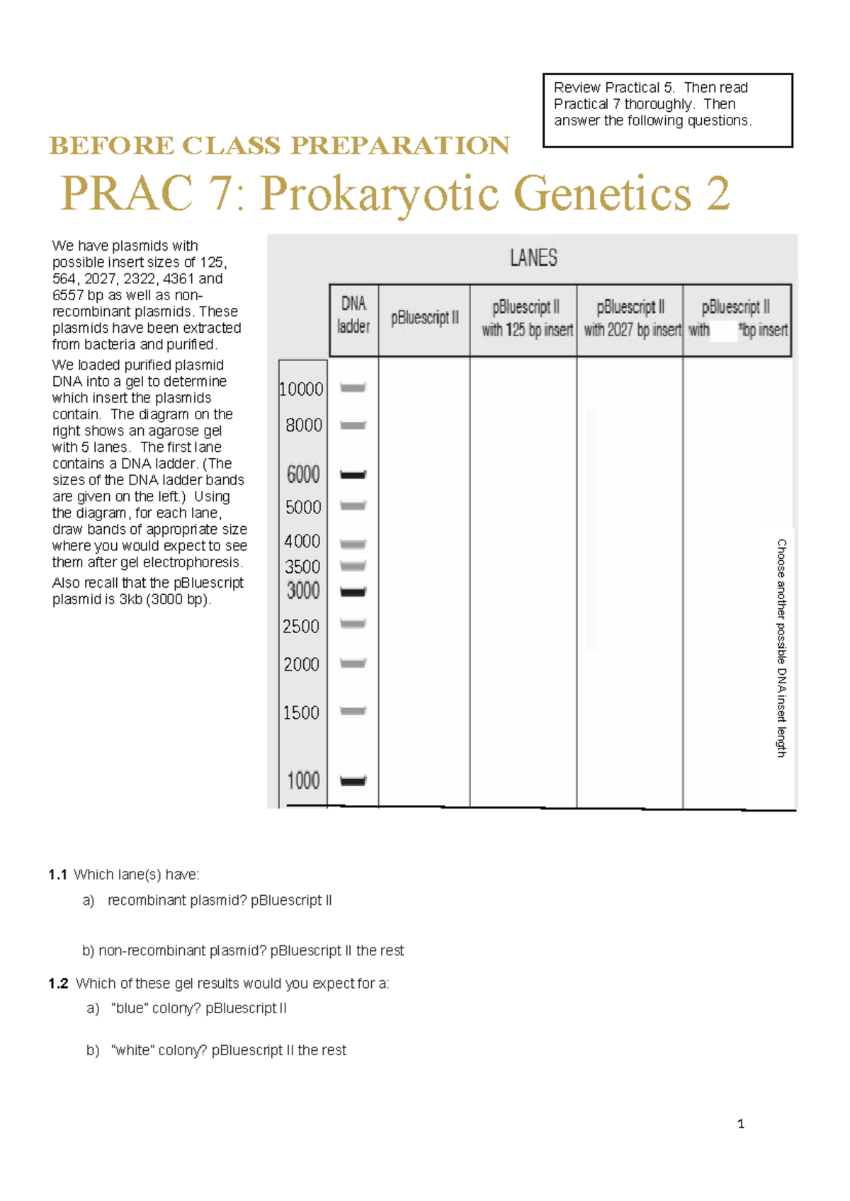 BIOL1020 Prac 7 - Cloning Conclusion - Review Practical 5. Then read ...