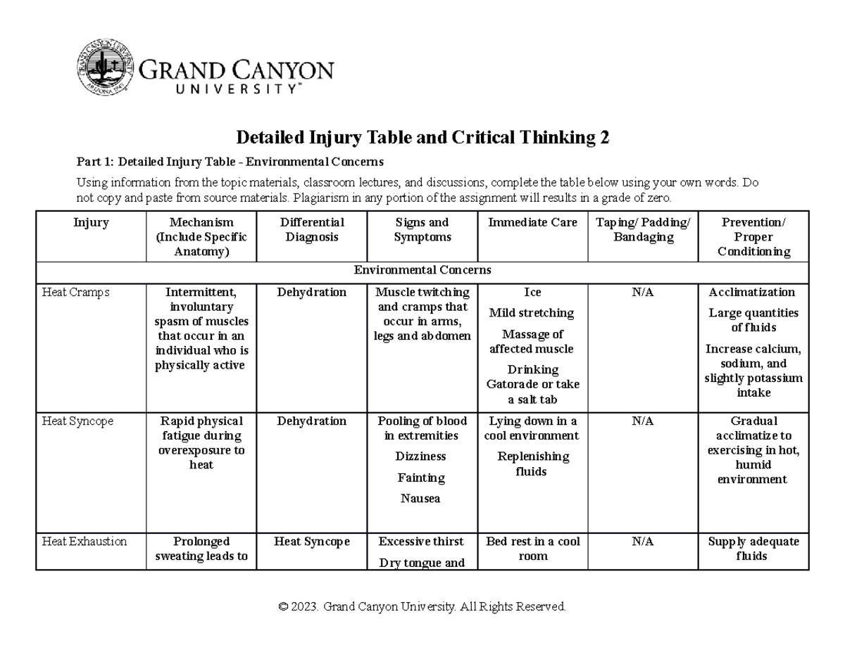 Detailed Injury Table 2 - Do not copy and paste from source materials ...