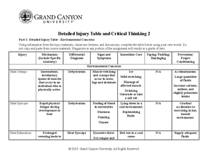 Detailed Injury Table 5 - Do not copy and paste from source materials ...