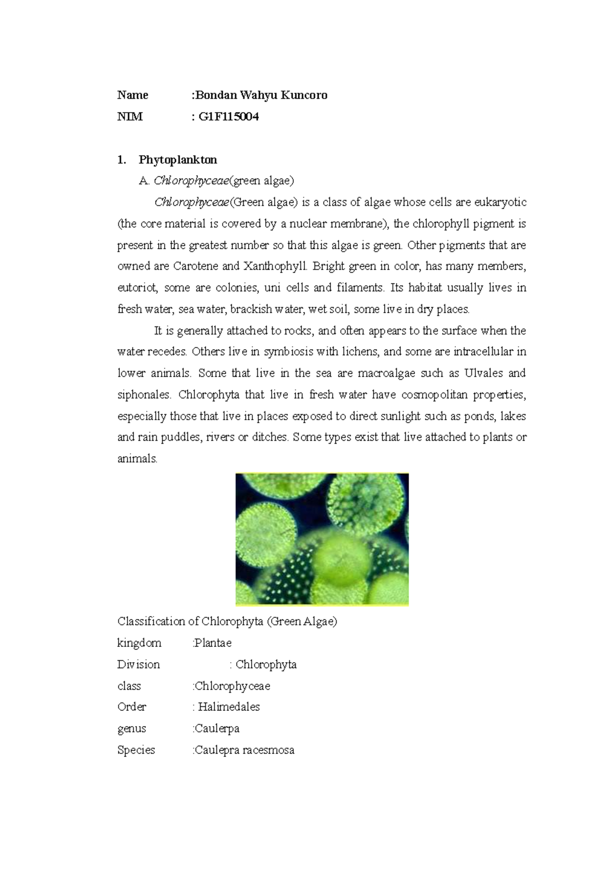 Plankton (Marine Biology) - Name :Bondan Wahyu Kuncoro NIM : G1F ...