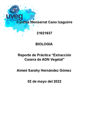 El sistema límbico - wsdfghj - El sistema límbico El sistema límbico se ...