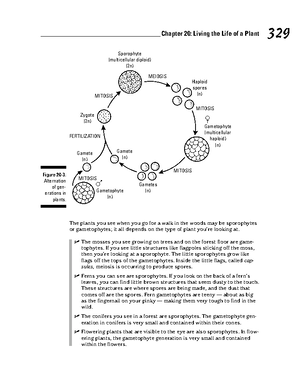 Essential Cell Biology matery-13 - 12 CHAPTER 1 Cells: The Fundamental ...
