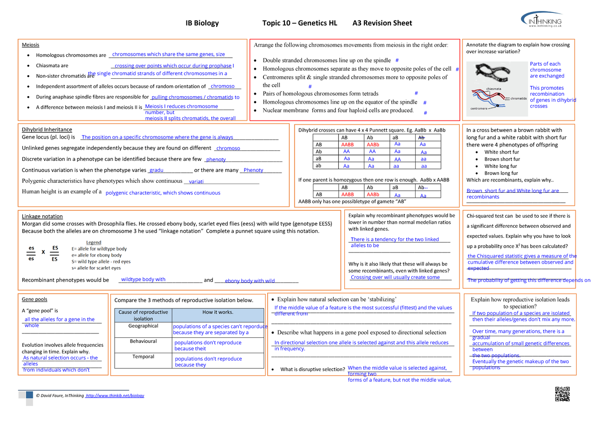 10 hl genetics a3 revision-sheet model answers - IB Biology Topic 10 ...
