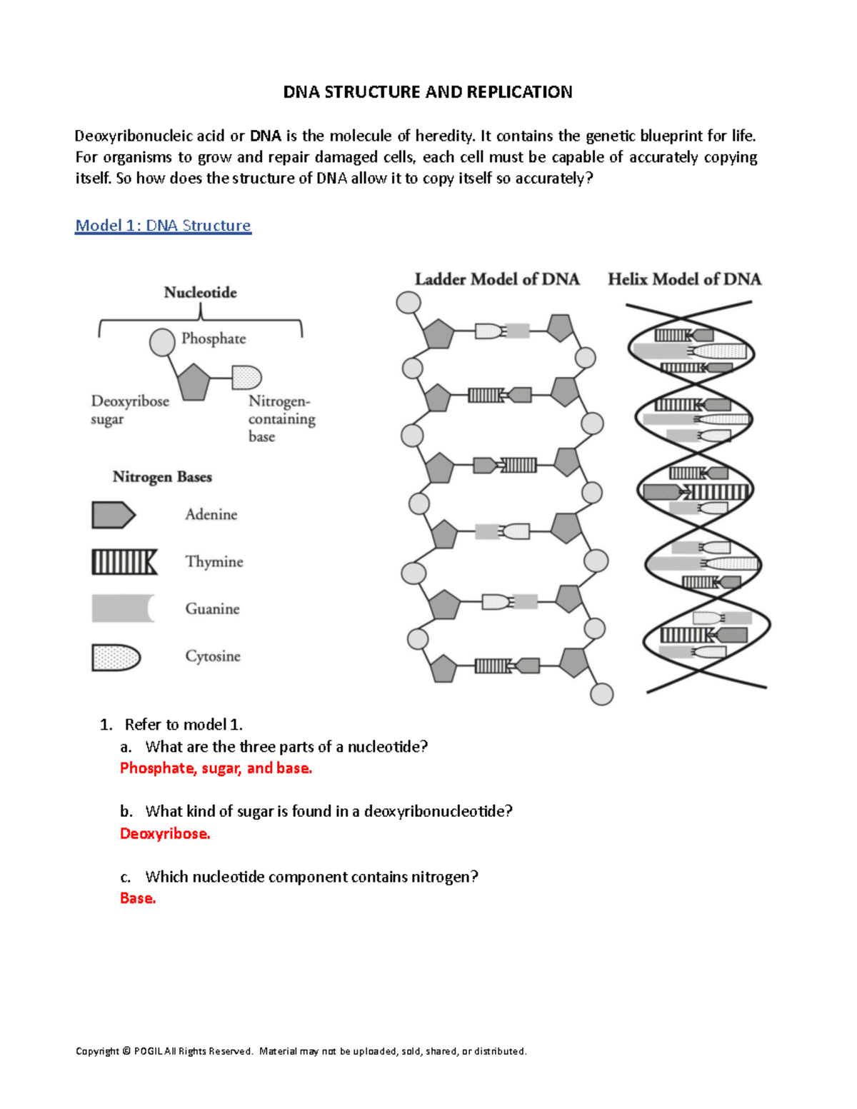 BIO181 Module 3 DNA Replication Worksheet - DNA STRUCTURE AND ...