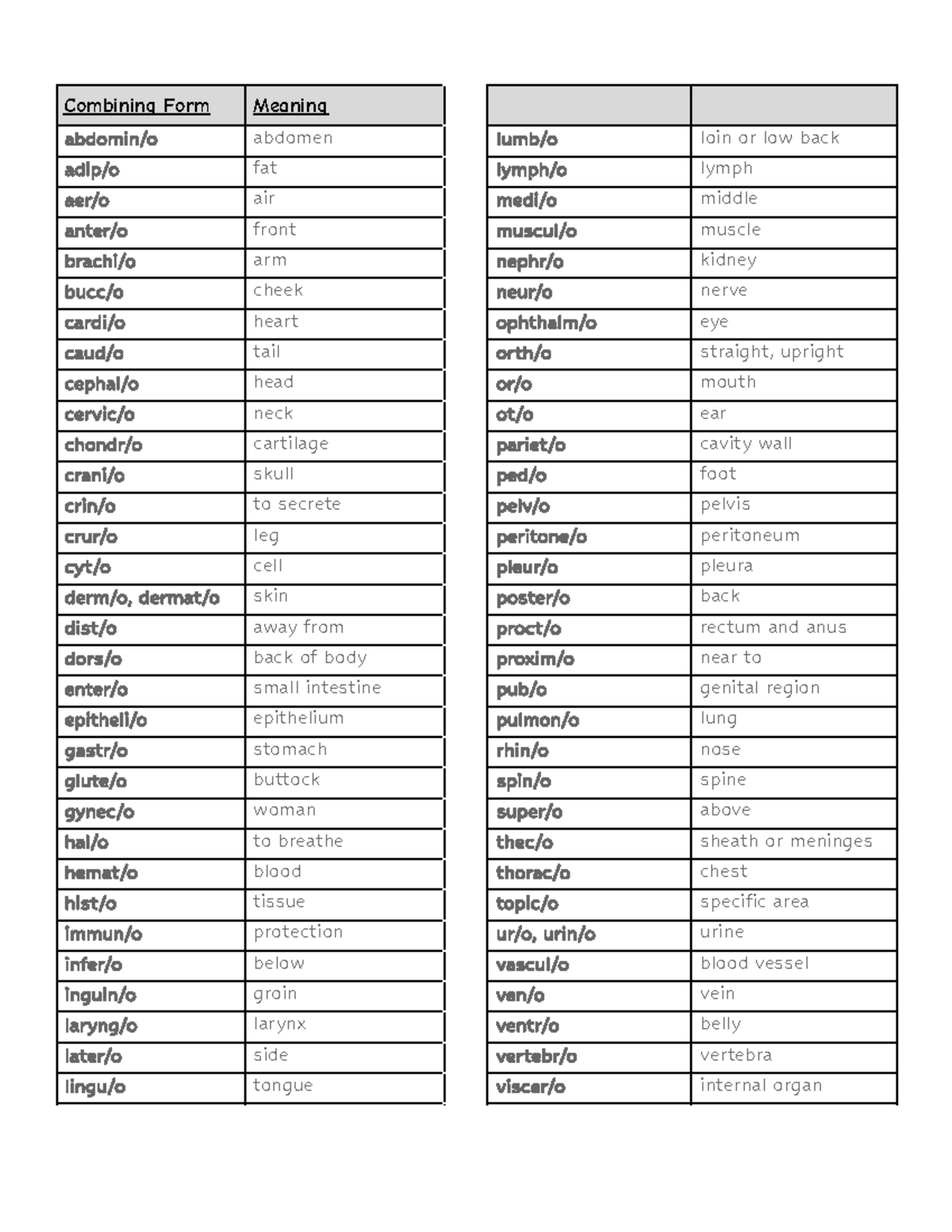 Chapter 2 - Body Organization Word Chart - Combining Form Meaning ...