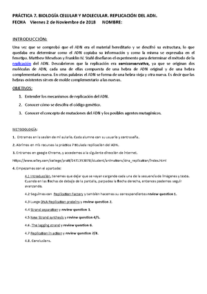 Seminario 7. Citoesqueleto - SEMINARIO 7 .- CITOESQUELETO. 1.- Términos ...