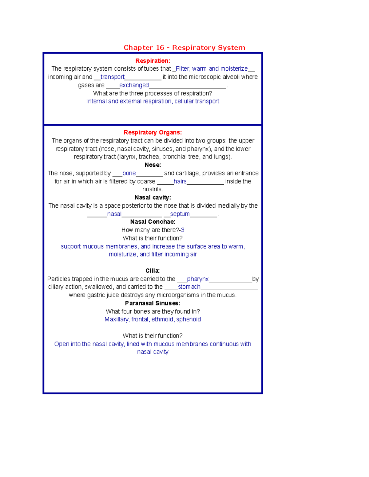 Chapter 16 - Respiratory System - Chapter 16 - Respiratory System ...