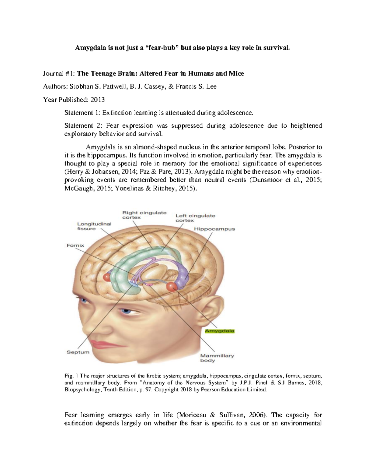 Physio Psych Course Proj - Amygdala is not just a “fear-hub” but also ...