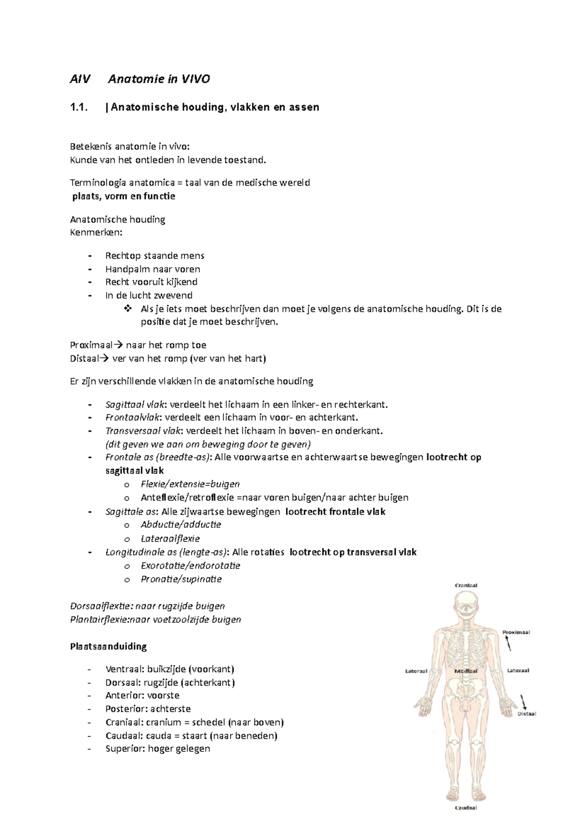 AIV Anatomie in VIVO aantekening - AIV 1. Anatomie in VIVO ...