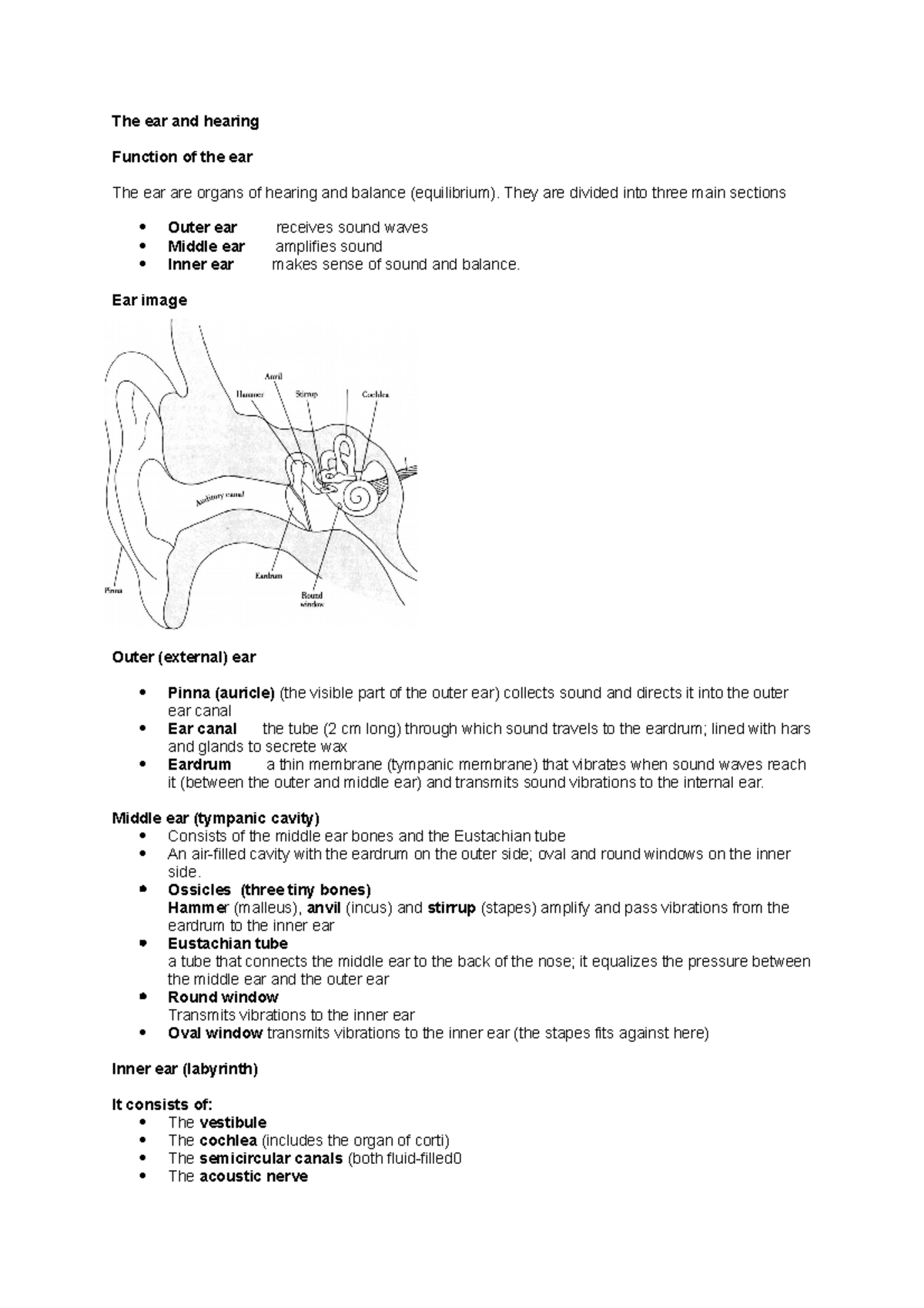 Nerves - Nerver lecture notes - The ear and hearing Function of the ear ...