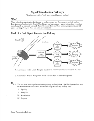 27-Feedback-Mechanisms - Feedback Mechanisms 1 Feedback Mechanisms How ...