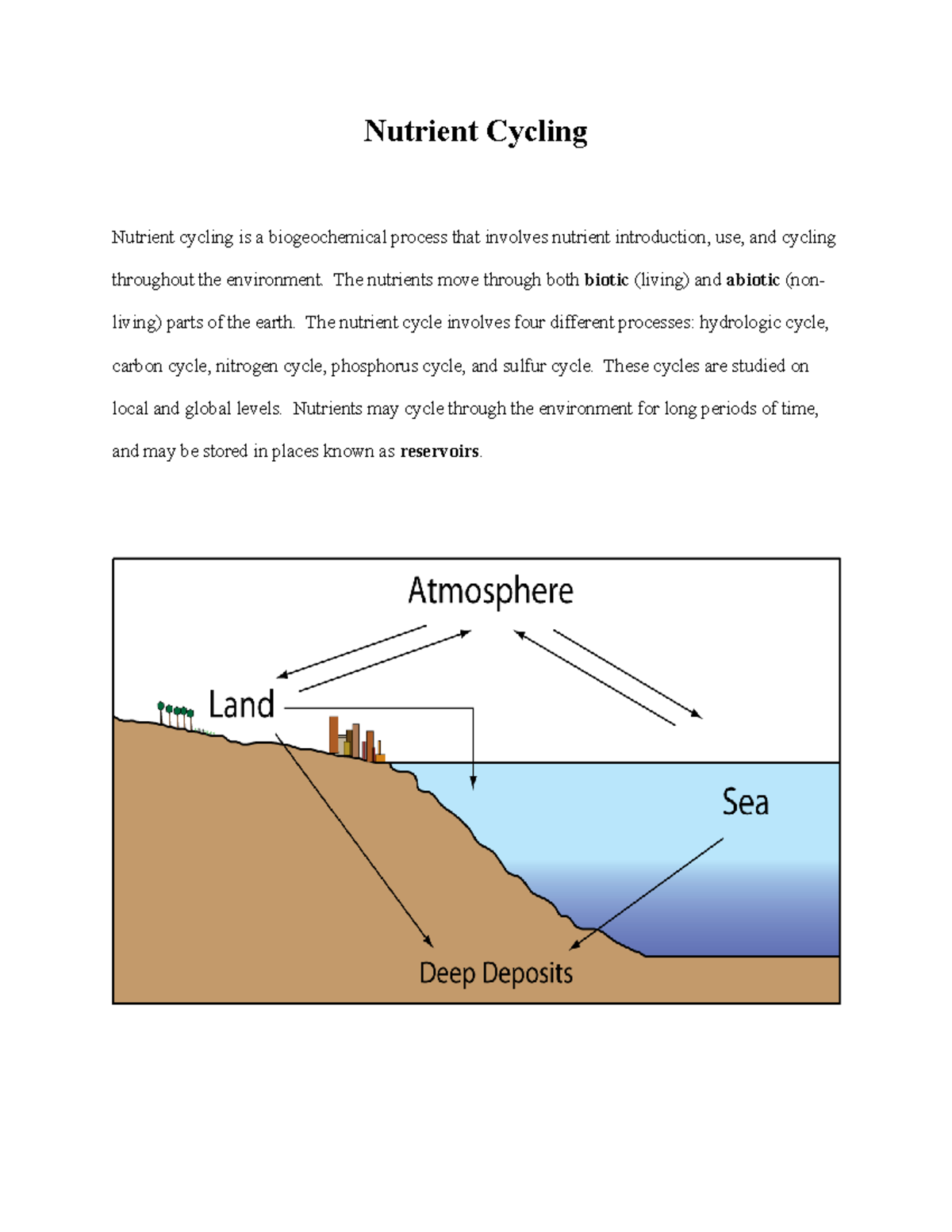 Nutrient Cycle - Nutrient Cycling Nutrient cycling is a biogeochemical ...