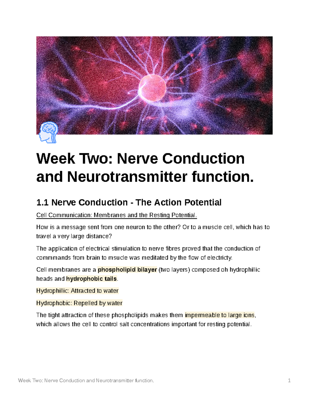 Nerve Conduction and Neurotransmitter function - PSYU9A4 - Stirling ...