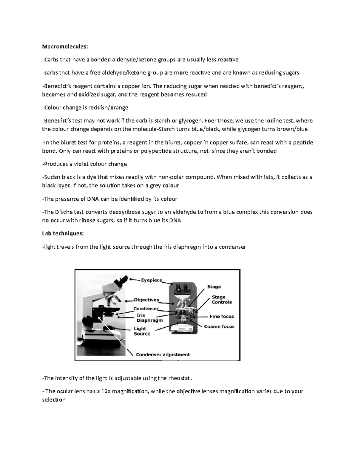 Lab test review - Notes for the lab exam for cell biology (first year ...
