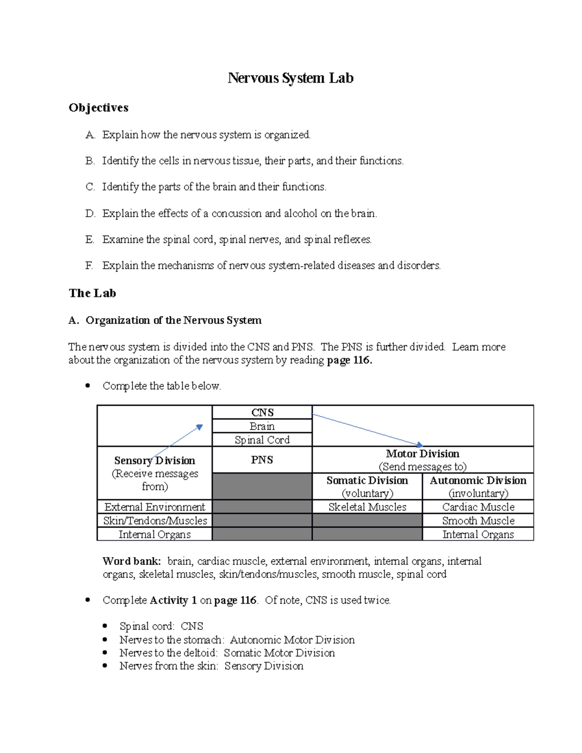 Wk 6 Nervous System Lab Bio 151 - Nervous System Lab Objectives A. Explain how the nervous ...