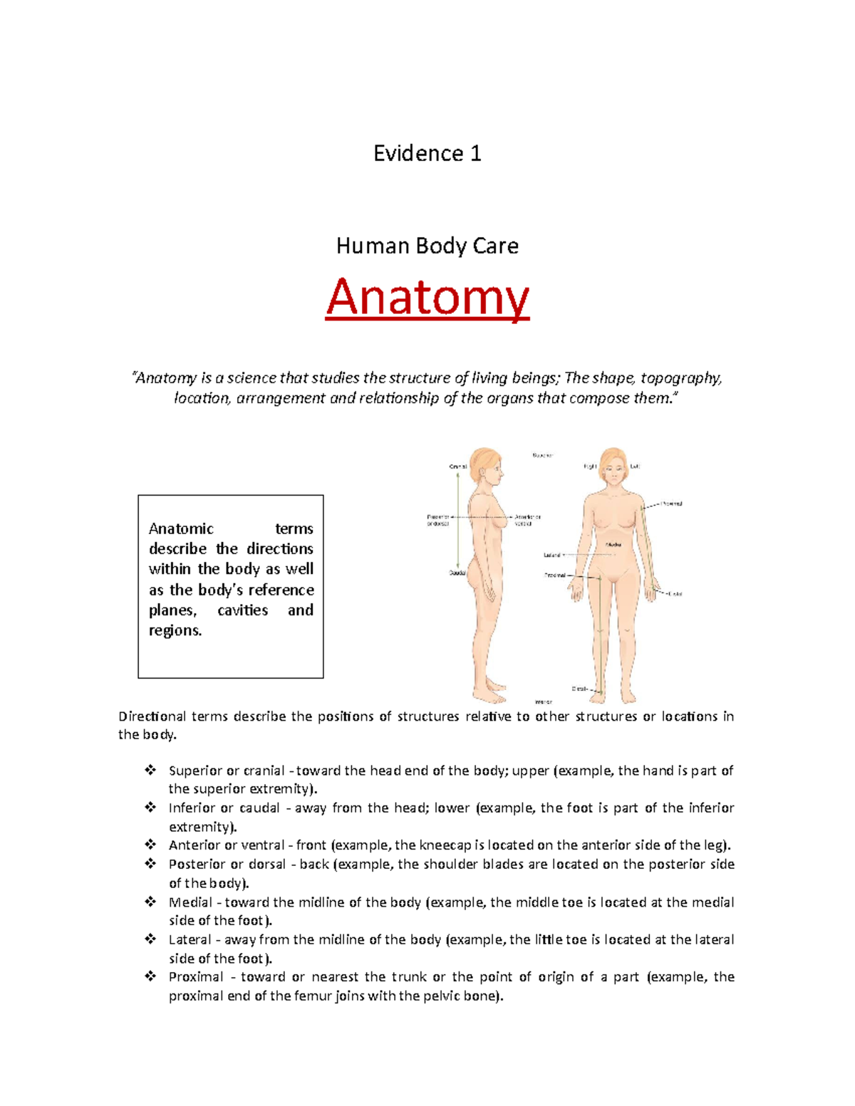 Evidence 1 human body care - Evidence 1 Human Body Care Anatomy ...