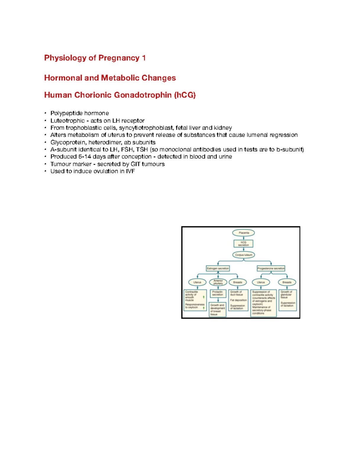 5. Lecture - Physiology of Pregnancy 1 🟢 - Physiology of Pregnancy 1 ...