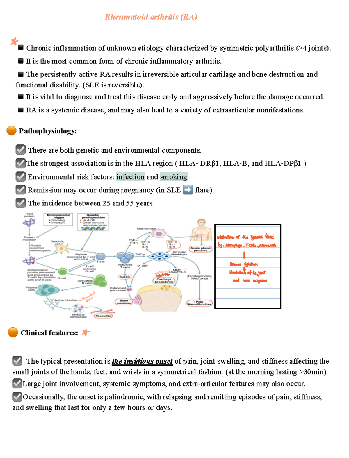 RA⚪️ - infiltration ofthesynovialfund bymacrophage T o releasecytokines ...
