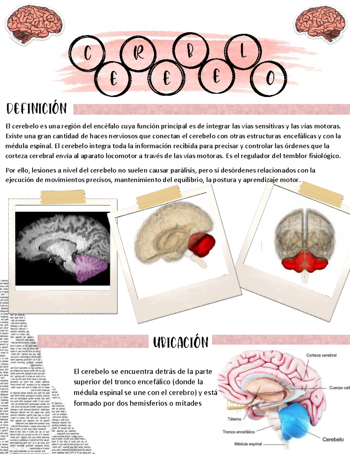 Herramienta acabada - Warning: TT: undefined function: 32 Warning: TT: undefined function: 32 c ...