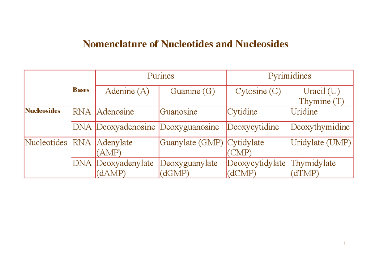 BCH LEC 2 OKOH - Awesome - biochemistry - Nomenclature of Nucleotides ...