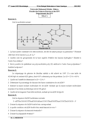 TP - biologie cellulaire L1 - TP : observation microscopique de ...