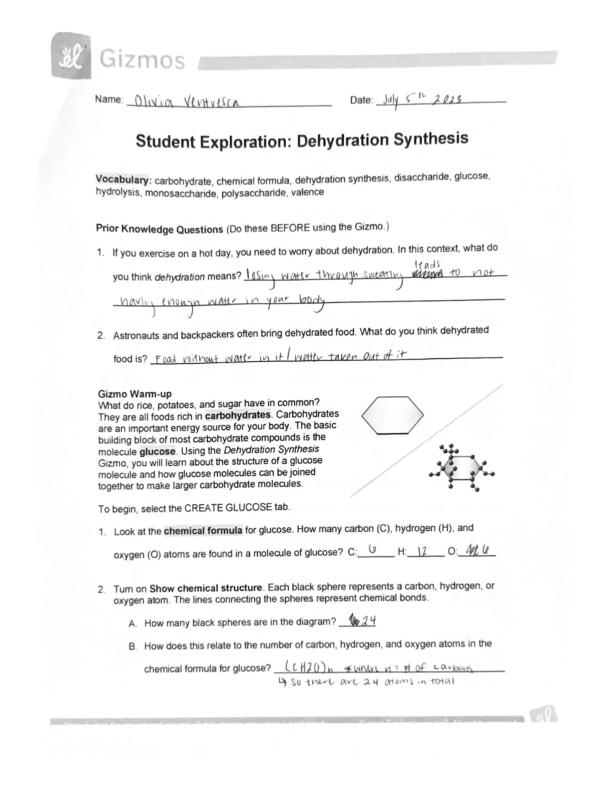 Gizmos - Biochem gizmo answers - Studocu