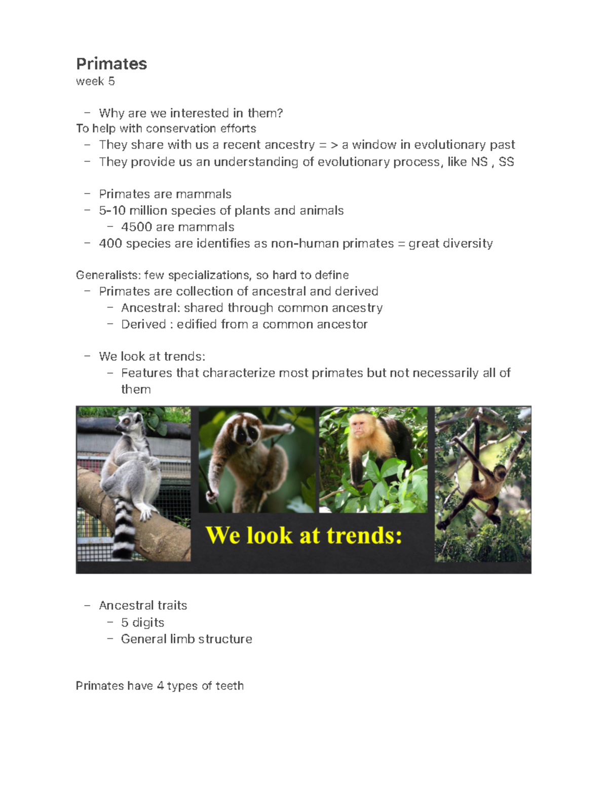 Primates lecture notes - – – – – – – – – – – – – – – – Primates week 5 ...