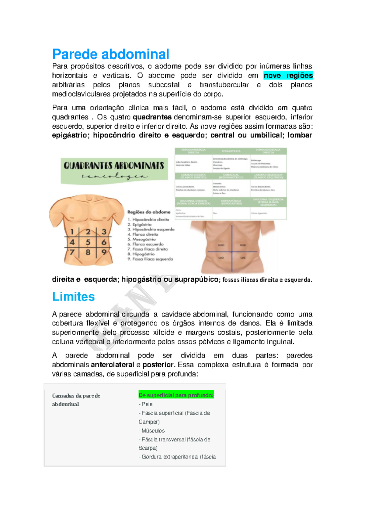 Parede Abdominal - Jean Boustani - Parede abdominal Para propósitos ...