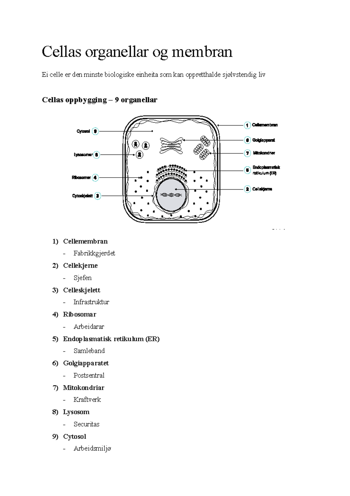 Cellas organellar og cellemembranen - Cellas organellar og membran Ei ...