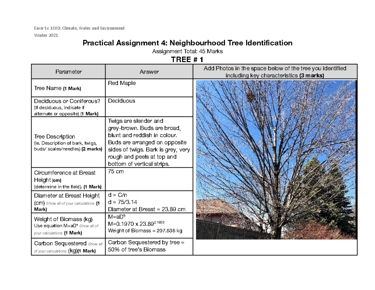 Practical Assignment 4 Neighbourhood Tree ID Winter 2021 - Envir Sc ...