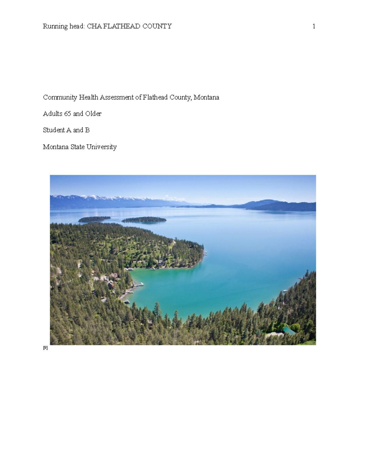 CHA 65 and Older - CHA paper - Running head: CHA FLATHEAD COUNTY 1 ...