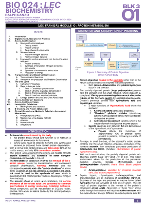 Microscopy activity Cell - Name ...