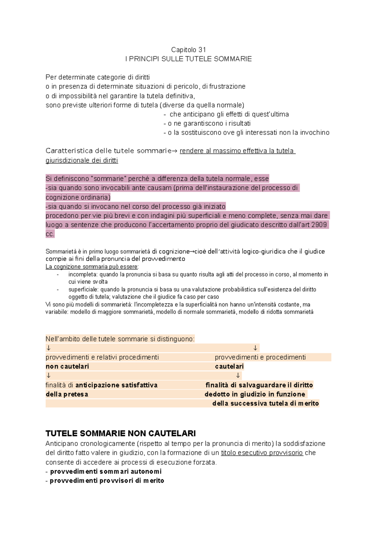 Cap. 31 I Principi Sulle Tutele Sommarie - Capitolo 31 I PRINCIPI SULLE ...
