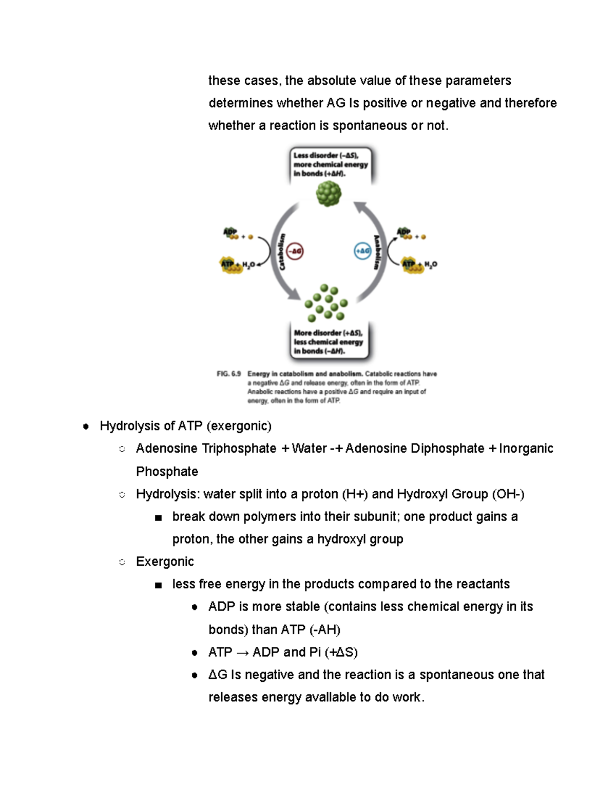 Hydrolysis and ATP - Studocu