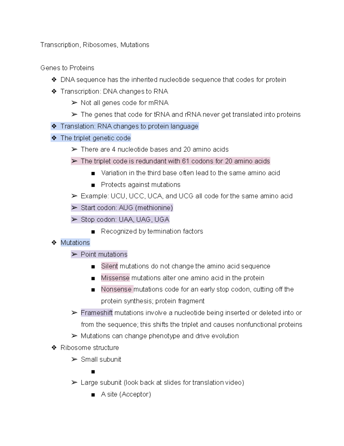 Transcription, Ribosomes, Mutations - Studocu