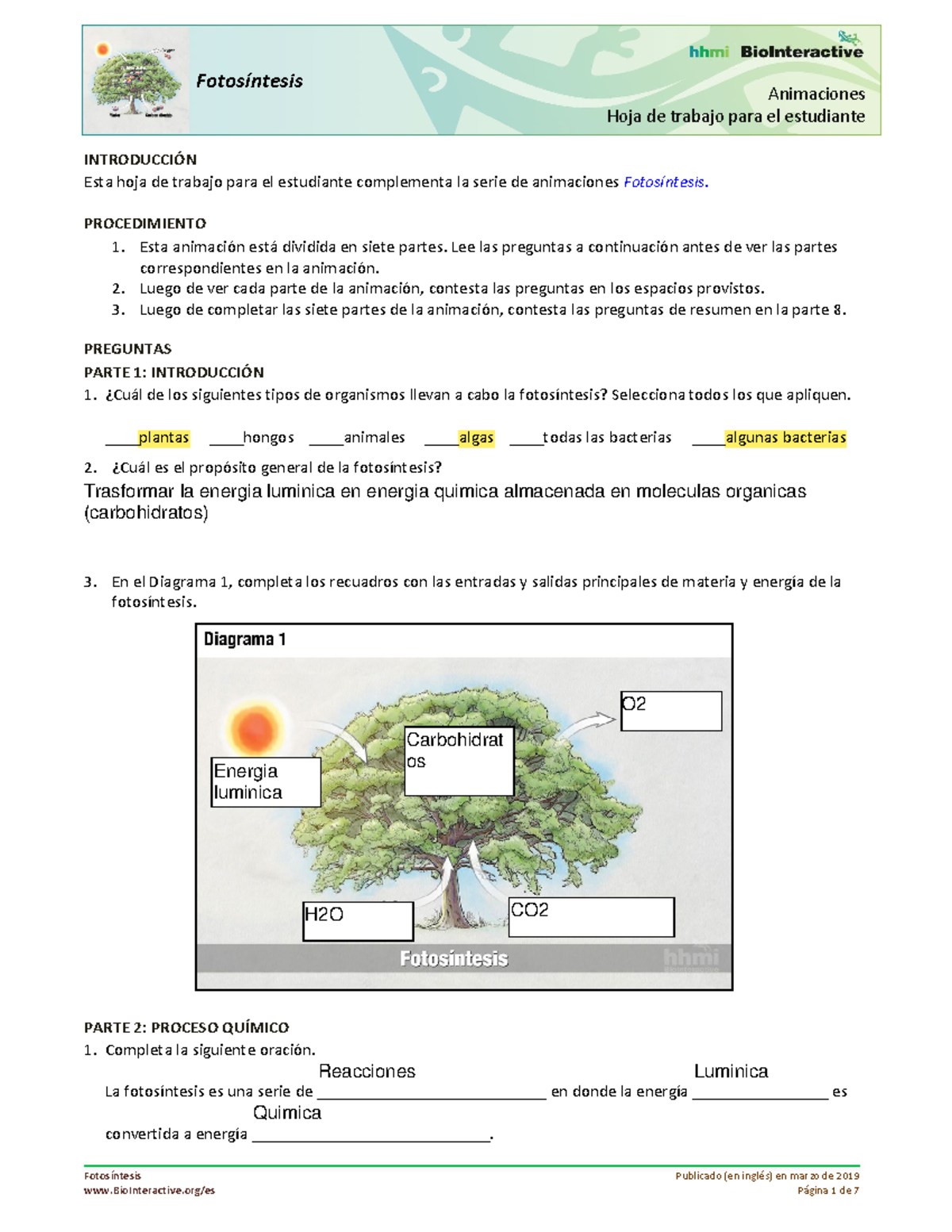 La Fotosintesis - UANL- BIOLOGIA ESTRUCTURAL ATG - Animaciones Hoja de ...