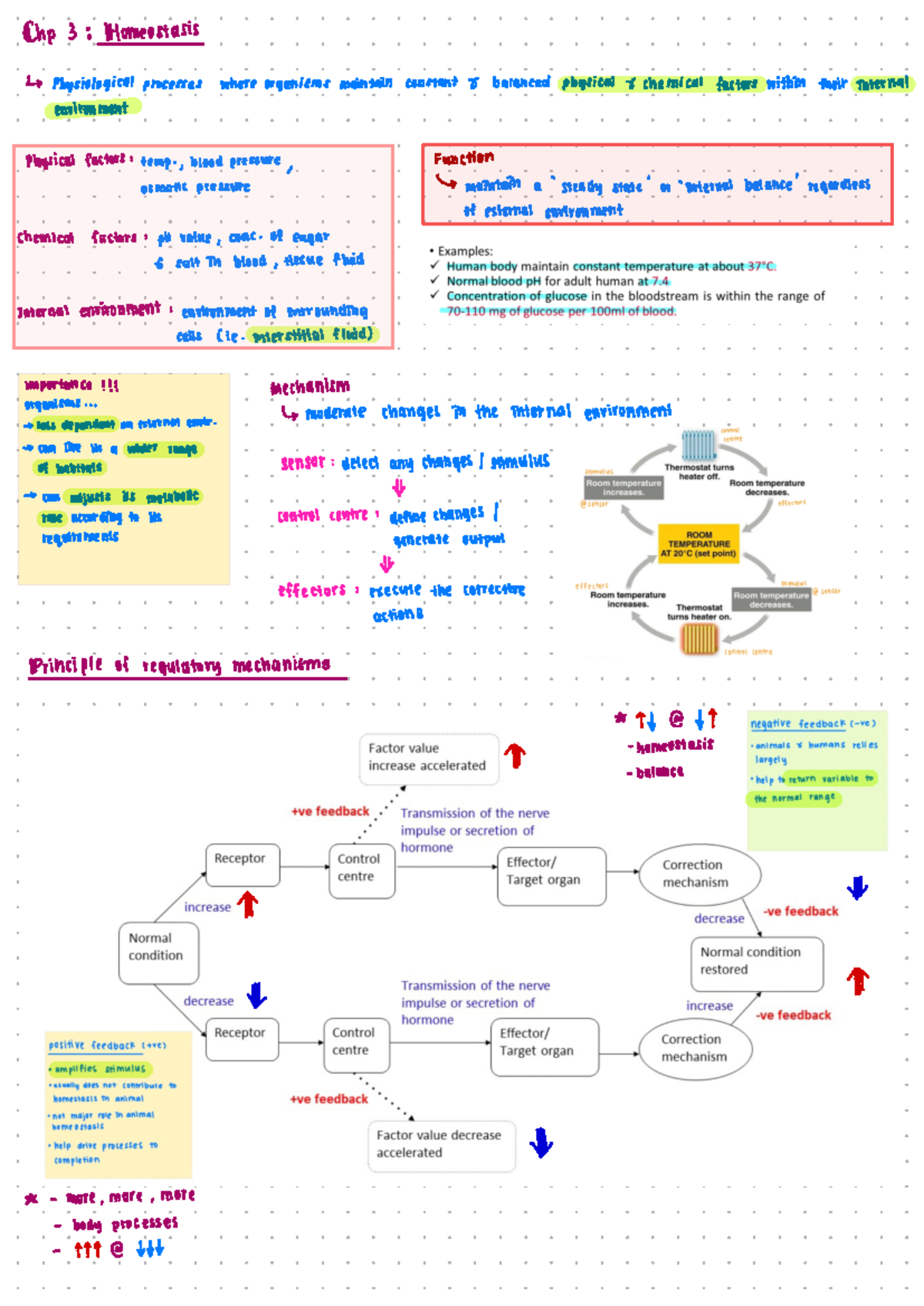 Chp 3 (homeostasis) notes - ④hp 3 : ltstomeo stasis Physiological ...
