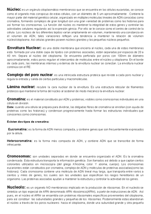Células redondeadas y discoidales-1 - República Bolivariana de ...