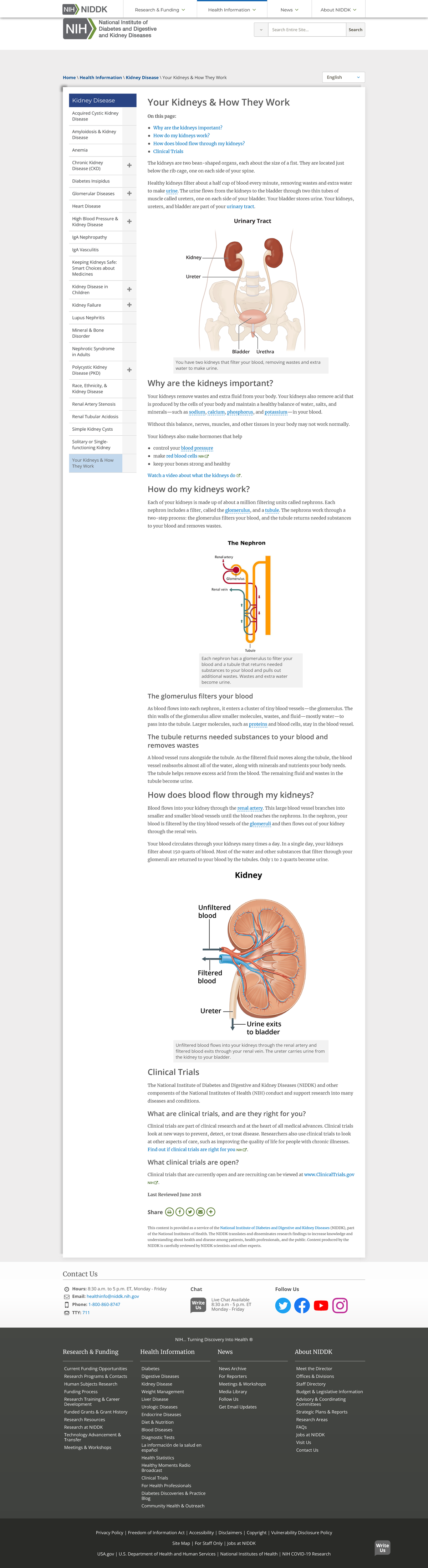 Your Kidneys & How They Work Niddk - Research & Funding - Studocu